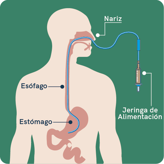 Red local de Apoyos y Cuidados - Ministerio de Desarrollo Social y Familia